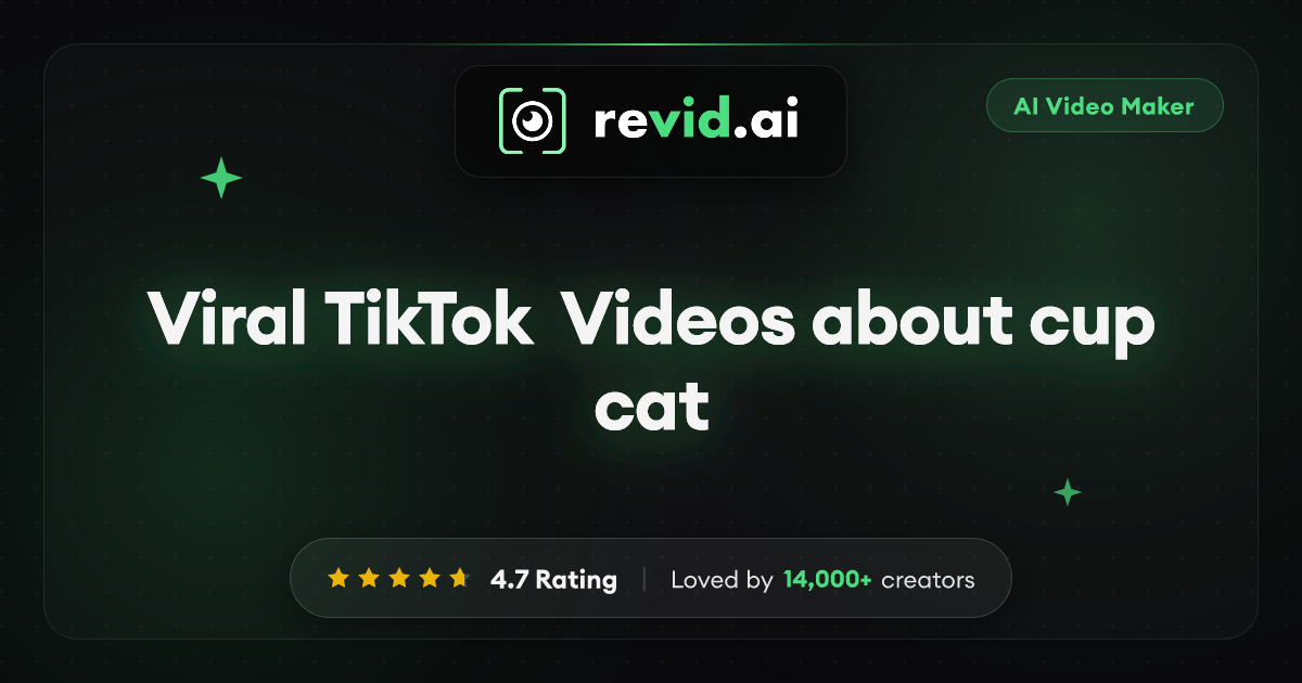 Viral TikTok Videos about cup cat